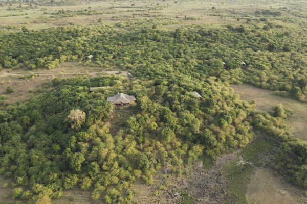 GALLERY – Tangulia Mara